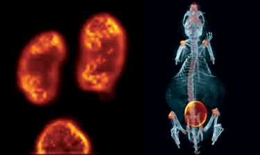 Center for Gamma Ray Imaging | Wyant College of Optical Sciences
